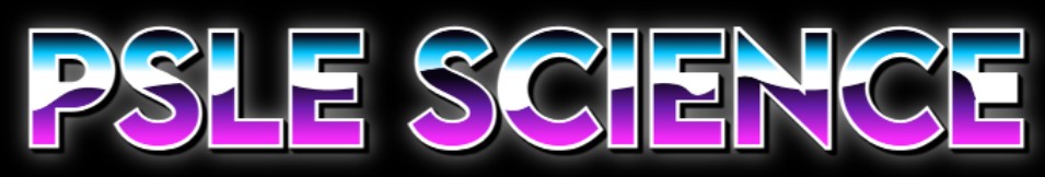 EduCHAMPS Academy - GEP, MATH & SCIENCE OLYMPIAD, PSLE, DSA, AEIS